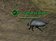 A sand scarab | EverQuest 2 Wiki | Fandom