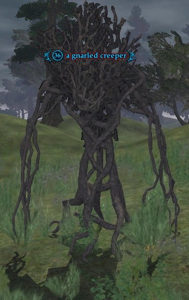 A gnarled creeper | EverQuest 2 Wiki | Fandom