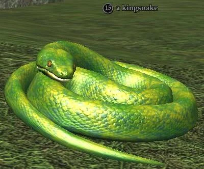 A kingsnake | EverQuest 2 Wiki | Fandom