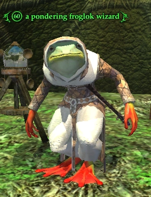 A pondering froglok wizard | EverQuest 2 Wiki | Fandom