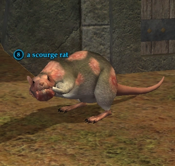 a scourge rat | EverQuest 2 Wiki | Fandom