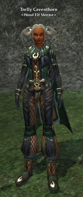 Category:Wood Elf Mentor (NPC Type) | EverQuest 2 Wiki | Fandom