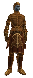 Spiritweaver's Ethereal (Armor Set) | EverQuest 2 Wiki | Fandom