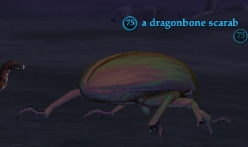A dragonbone scarab | EverQuest 2 Wiki | Fandom