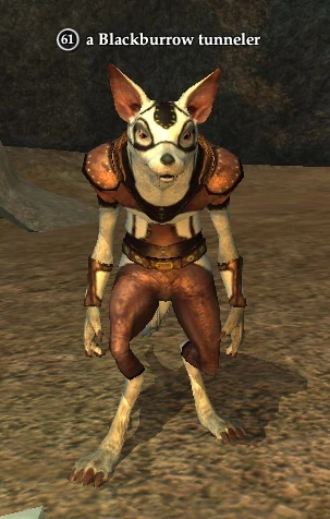 A Blackburrow tunneler | EverQuest 2 Wiki | Fandom