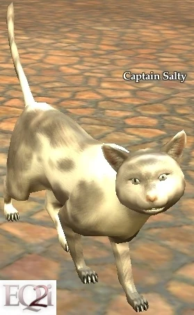 Captain Salty | EverQuest 2 Wiki | Fandom