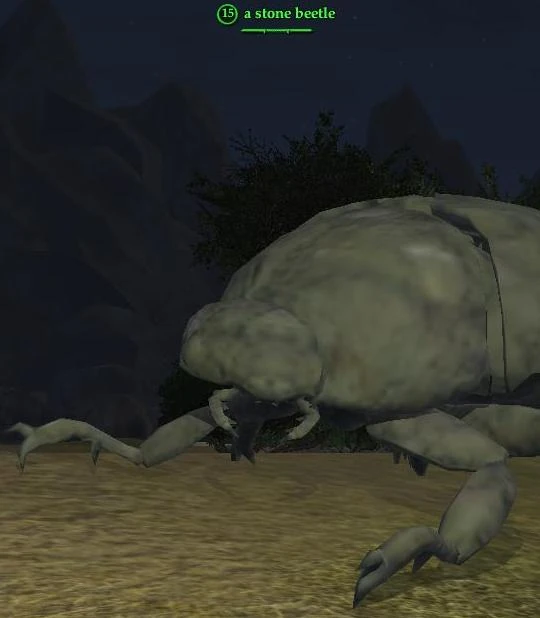 a stone beetle | EverQuest 2 Wiki | Fandom