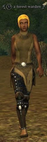 A forest warden | EverQuest 2 Wiki | Fandom