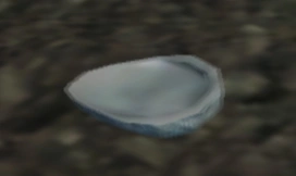 Shining Shells | EverQuest 2 Wiki | Fandom