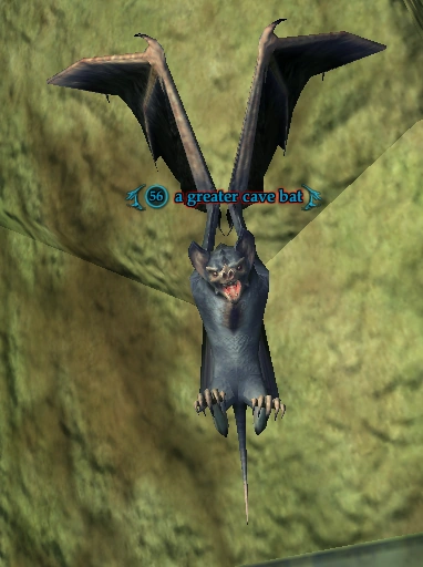 a greater cave bat | EverQuest 2 Wiki | Fandom