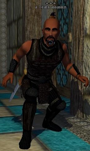 a Tears assassin | EverQuest 2 Wiki | Fandom