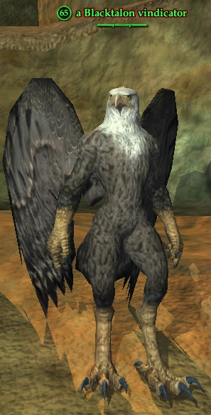 A Blacktalon vindicator | EverQuest 2 Wiki | Fandom