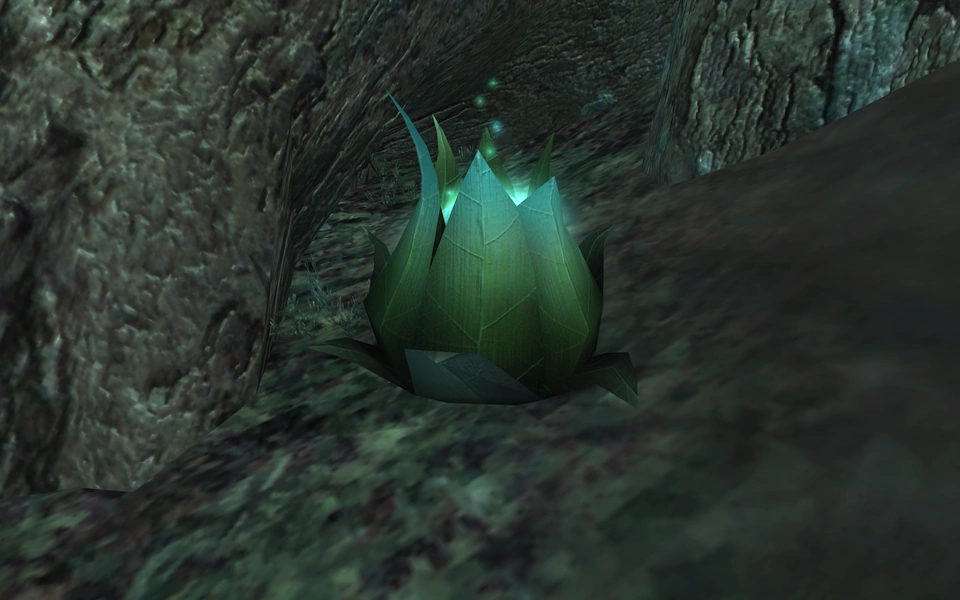 Shadeweave bud | EverQuest 2 Wiki | Fandom