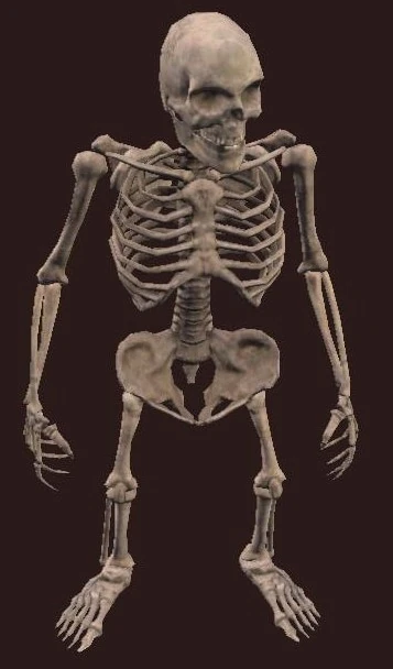 Petamorph Wand: Cursed Dhalgar Skeleton | EverQuest 2 Wiki | Fandom