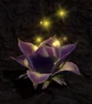 Advanced Botany: Lavastorm | EverQuest 2 Wiki | Fandom