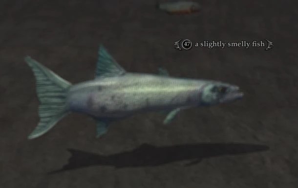 A slightly smelly fish | EverQuest 2 Wiki | Fandom