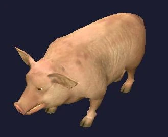 a common farm pig | EverQuest 2 Wiki | Fandom