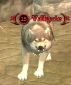 Valkyrie | EverQuest 2 Wiki | Fandom