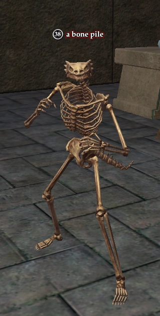 A bone pile | EverQuest 2 Wiki | Fandom