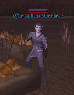 guardian of the Slayer | EverQuest 2 Wiki | Fandom
