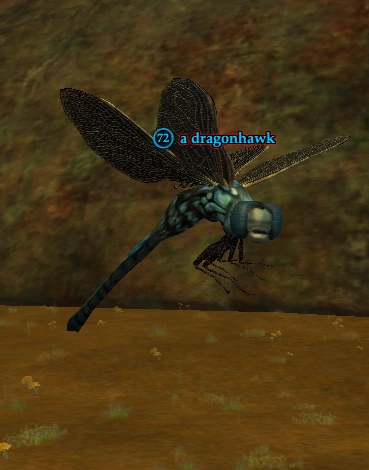 A dragonhawk | EverQuest 2 Wiki | Fandom