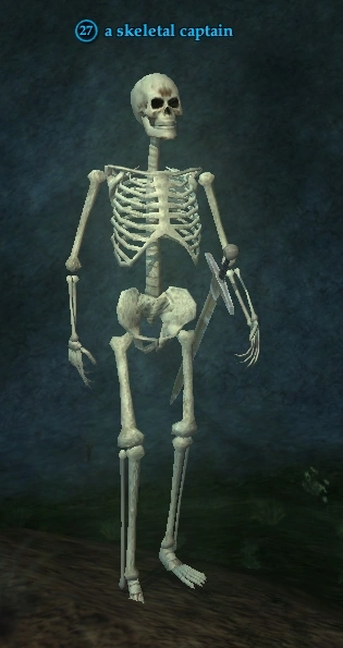 a skeletal captain | EverQuest 2 Wiki | Fandom