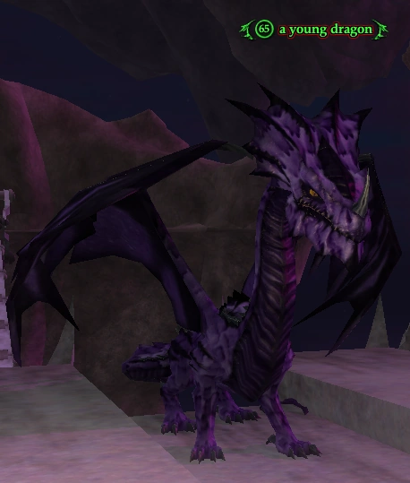 A young dragon | EverQuest 2 Wiki | Fandom