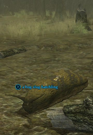 A bog slug hatchling | EverQuest 2 Wiki | Fandom