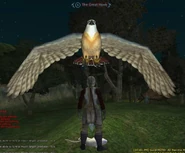 The Great Hawk | EverQuest 2 Wiki | Fandom