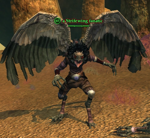 A Strifewing fanatic | EverQuest 2 Wiki | Fandom