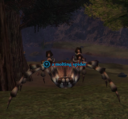 A molting spider | EverQuest 2 Wiki | Fandom