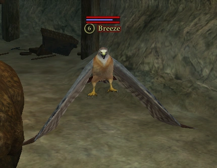 Breeze (Monster) | EverQuest 2 Wiki | Fandom