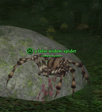 a false widow spider | EverQuest 2 Wiki | Fandom