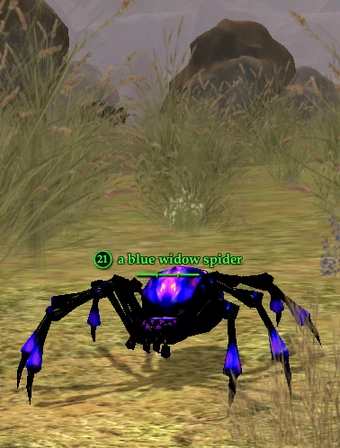 Blue Widow Spider