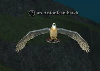 An Antonican hawk | EverQuest 2 Wiki | Fandom