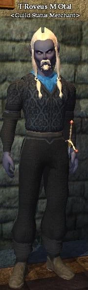 Category:Guild Status Merchant (NPC Type) | EverQuest 2 Wiki | Fandom