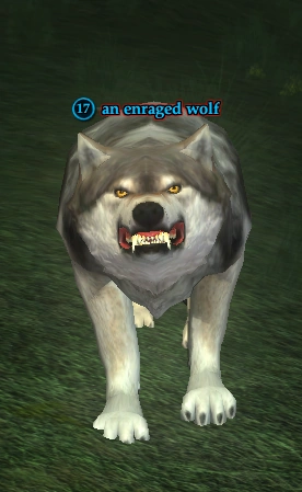An enraged wolf | EverQuest 2 Wiki | Fandom