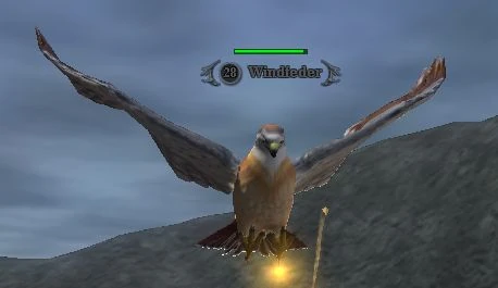 Windfeather | EverQuest 2 Wiki | Fandom