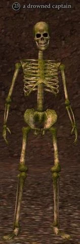 A drowned captain | EverQuest 2 Wiki | Fandom