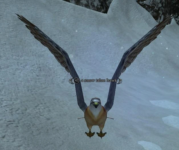 A snow talon hawk | EverQuest 2 Wiki | Fandom