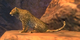 Tameable Felines | EverQuest 2 Wiki | Fandom
