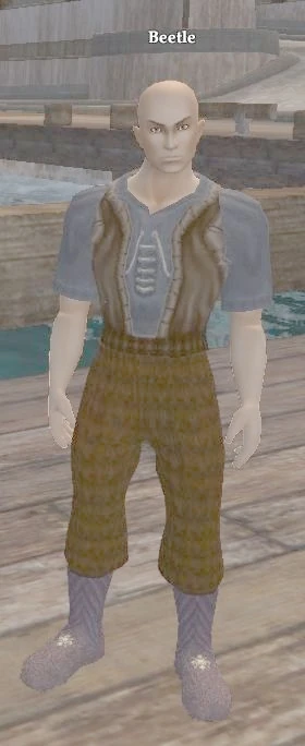 Beetle | EverQuest 2 Wiki | Fandom