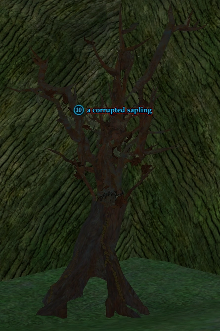 a corrupted sapling | EverQuest 2 Wiki | Fandom