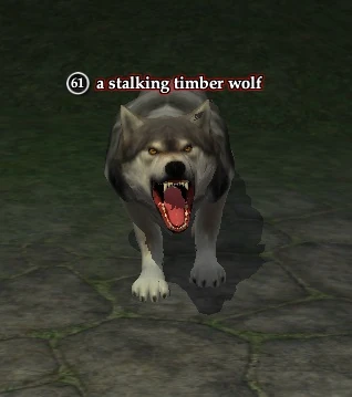 A stalking timber wolf | EverQuest 2 Wiki | Fandom