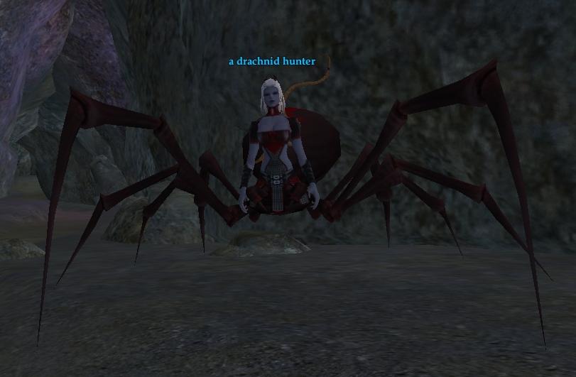 A Drachnid Hunter Everquest 2 Wiki Fandom