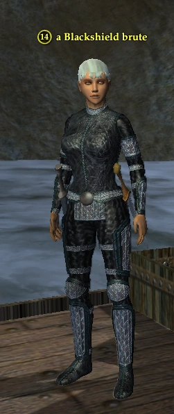 a Blackshield brute | EverQuest 2 Wiki | Fandom
