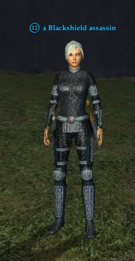 a Blackshield assassin | EverQuest 2 Wiki | Fandom