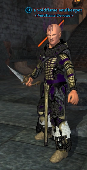 a voidflame soulkeeper | EverQuest 2 Wiki | Fandom