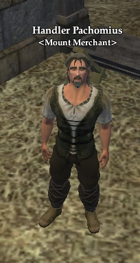 Category:The City of Freeport Mount Merchant NPCs | EverQuest 2 Wiki ...