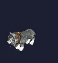 Loyal Wolf Pup Plushie | EverQuest 2 Wiki | Fandom
